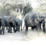 Destinations-Country-South Africa - Hacking the Road